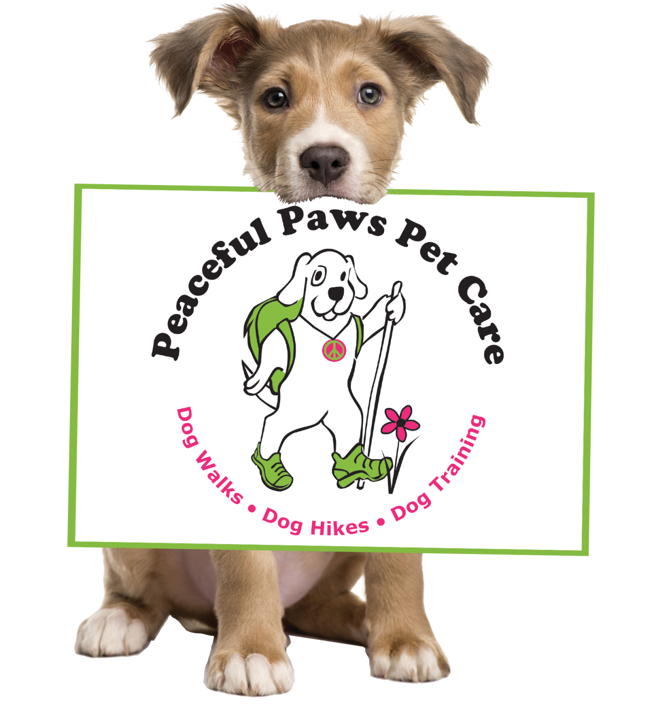 Peaceful Paws Pet Care | Dog Walking, Hiking, Peaceful Dog Training